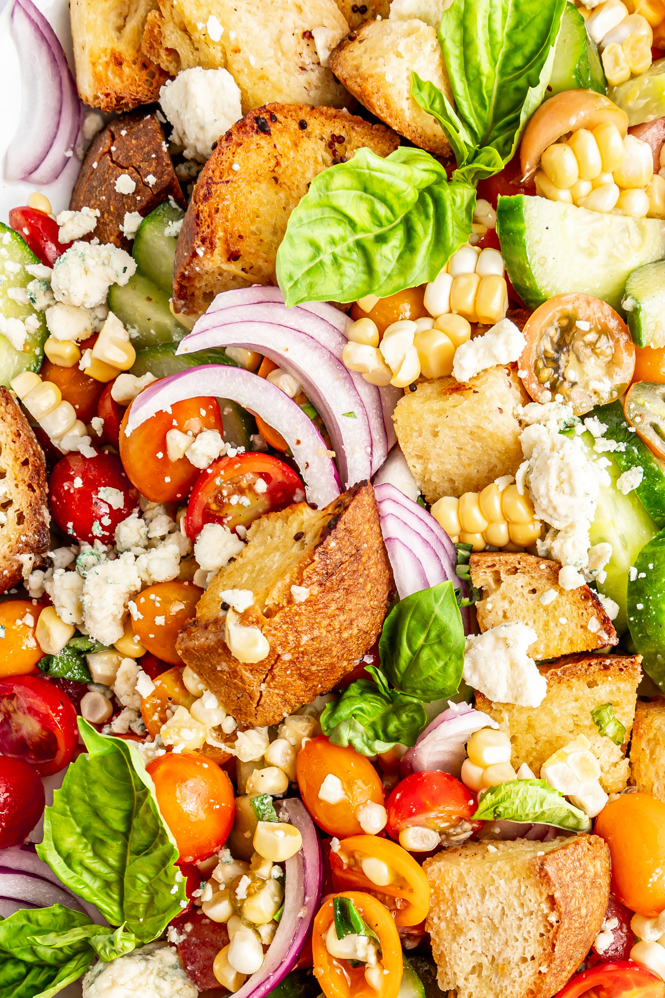 PANZANELLA SALAD RECIPE + Eat Salad Every Day
